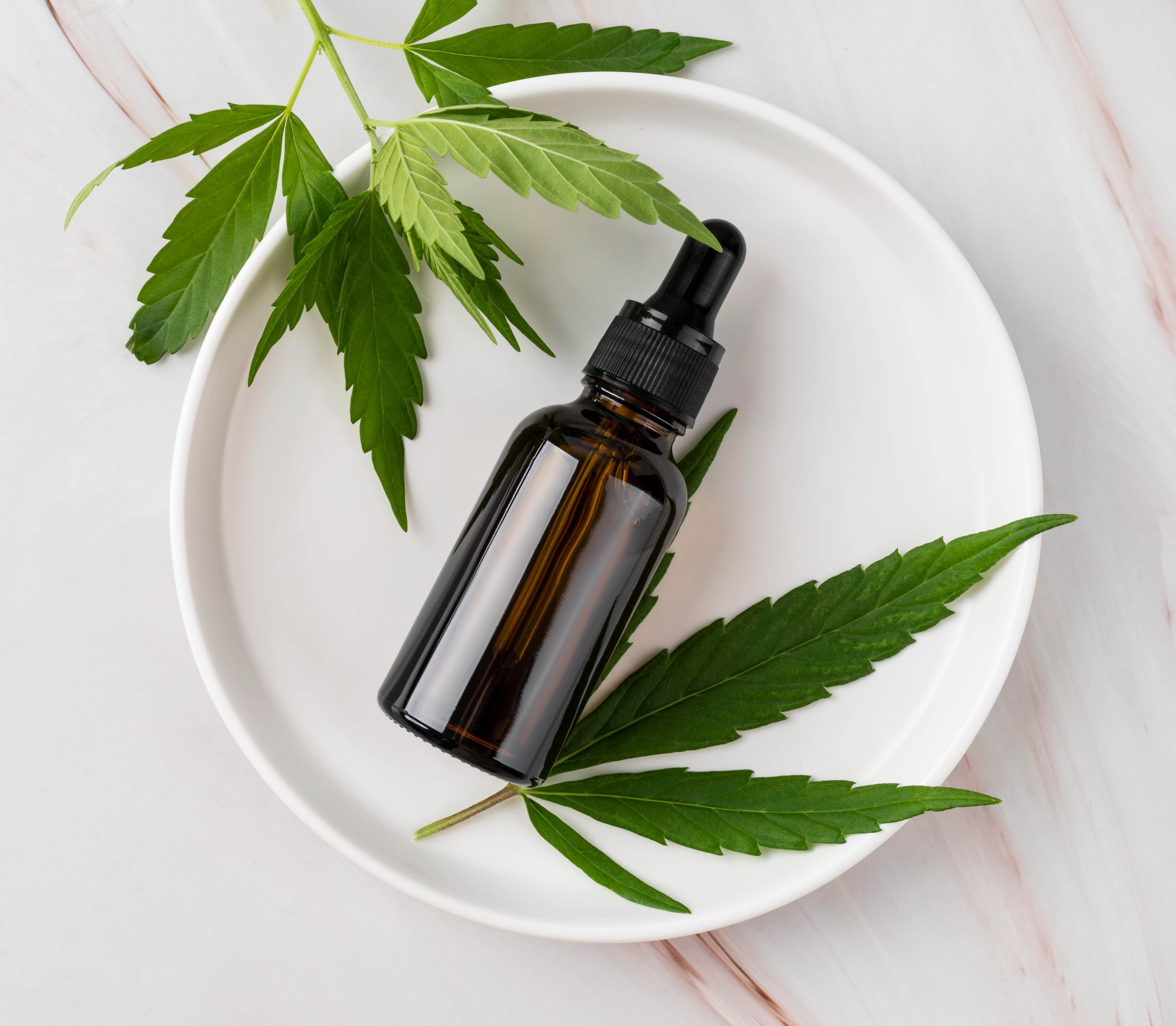CBD Oil Is Legal in India — But Under These Conditions – Hempbuti